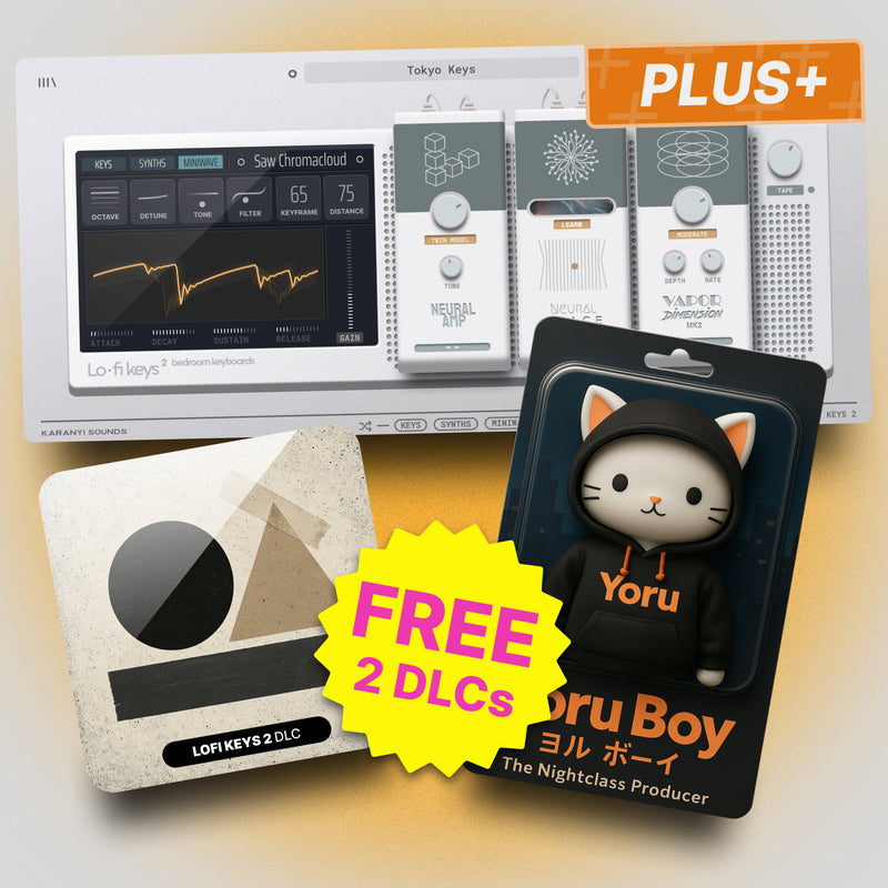Lofi Keys 2 – Virtual Instrument Plugin | Karanyi Sounds